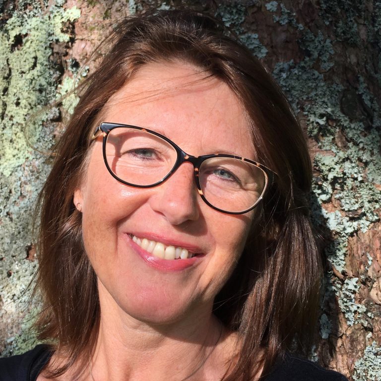 Elaine Musgrave – Wise Goose